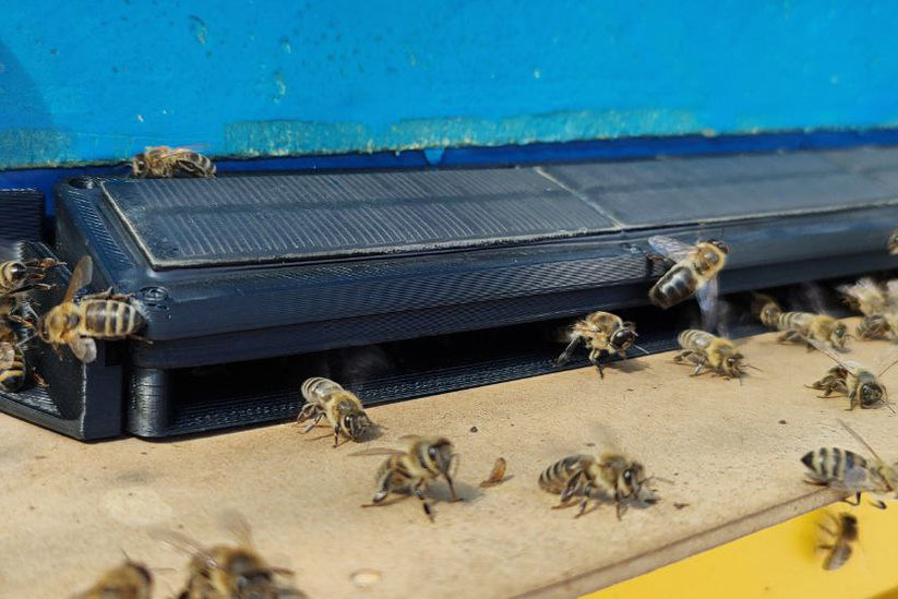 BeeData - Hive Bee Counter – bee-data.net